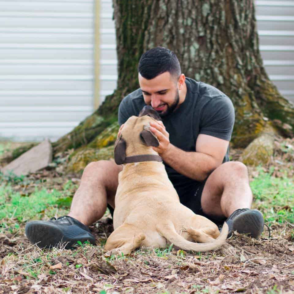 Top American Bully Breeders & XL Pitbull Experts | USA