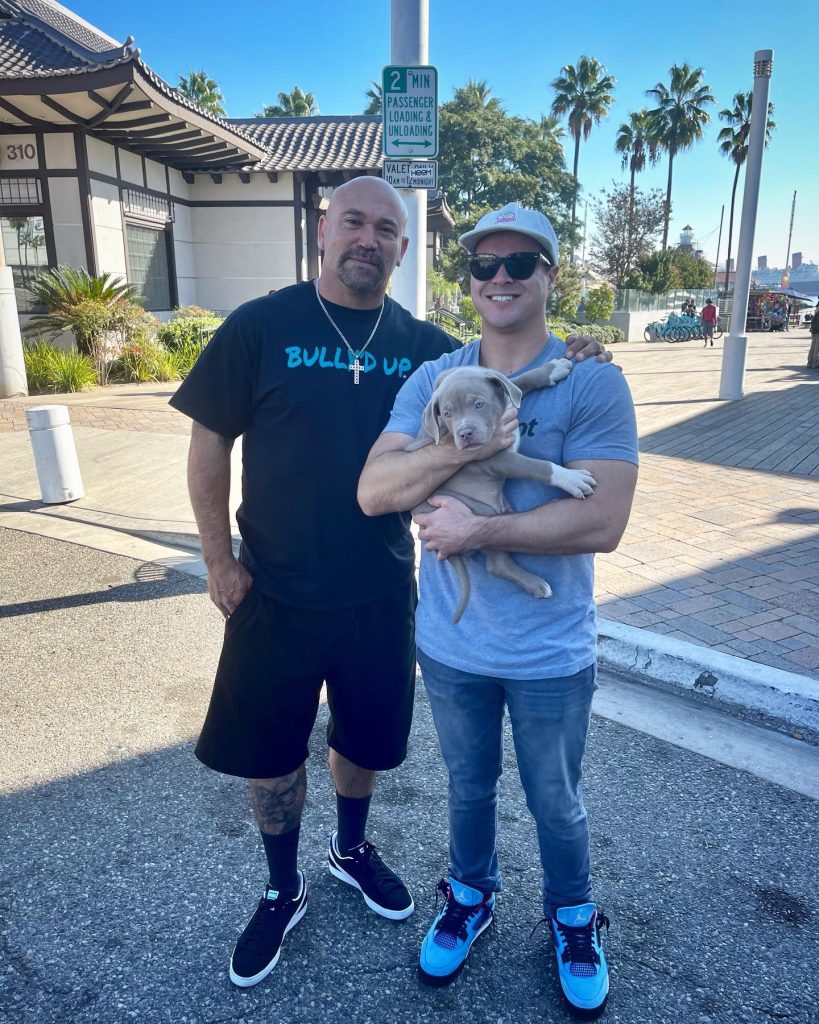 Pitbull Puppies For Sale In Maine - Manmade Kennels XL Pit Bulls