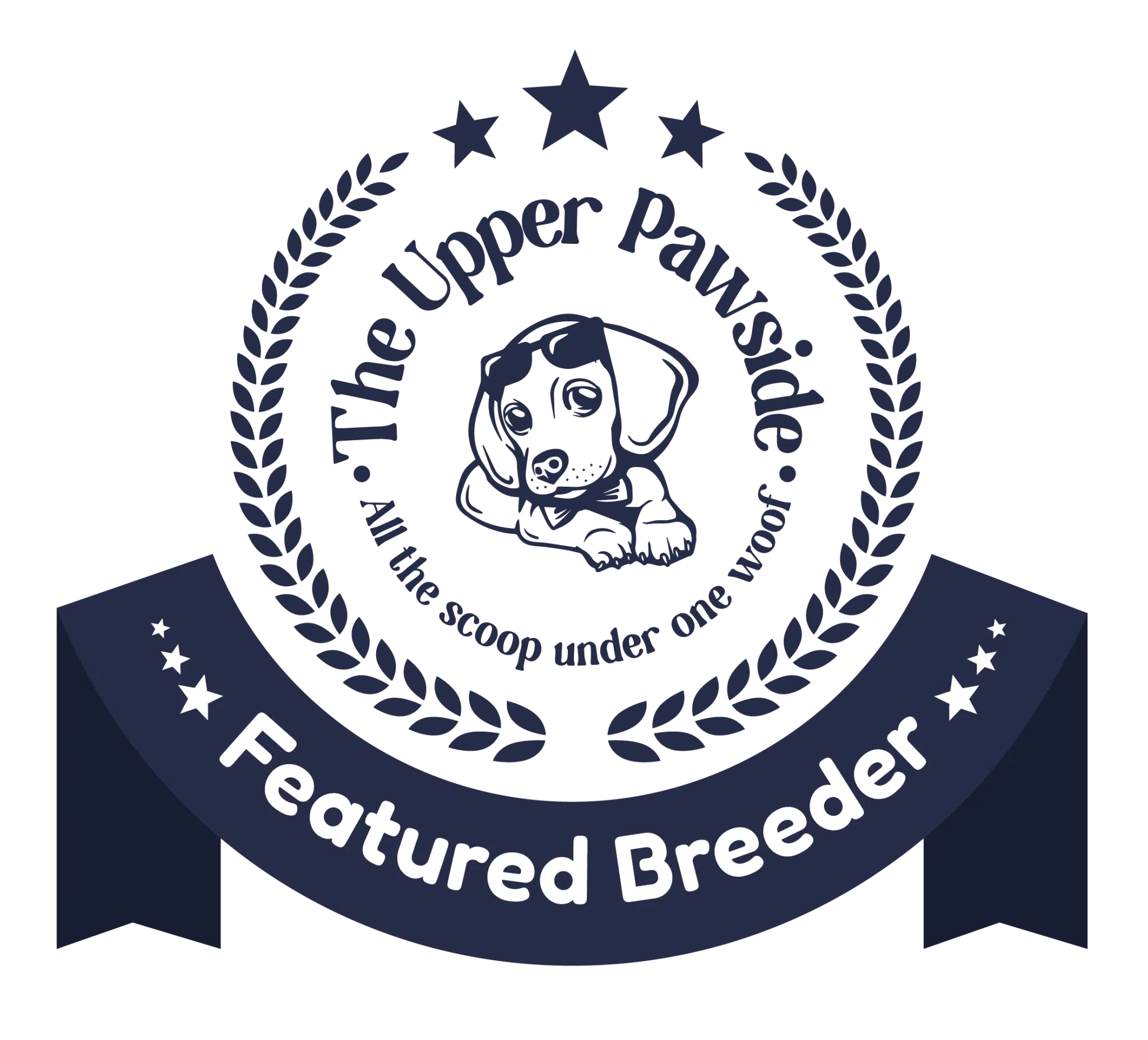 Pitbull Breeders | Manmade Kennels - XL Pitbull Breeder